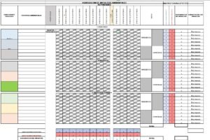 Environmental Impact Assessment Matrices